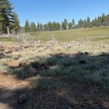 Dry Pond Loop, Nevada - 1,505 Reviews, Map | AllTrails