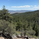 Dry Pond Loop, Nevada - 1,505 Reviews, Map | AllTrails