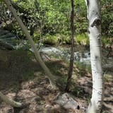 Dry Pond Loop, Nevada - 1,505 Reviews, Map | AllTrails