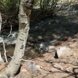 Dry Pond Loop, Nevada - 1,505 Reviews, Map | AllTrails