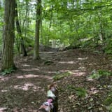 Nelson's Ledges Trail, Ohio - 896 Reviews, Map | AllTrails