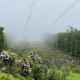 Virginia's Triple Crown Loop, Virginia - 719 Reviews, Map | AllTrails