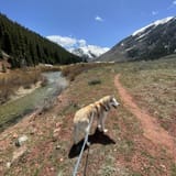 River Run Trail , Colorado - 173 Reviews, Map | AllTrails