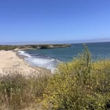 Old Cove Landing Trail, California - 3,748 Reviews, Map | AllTrails