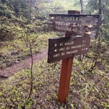 Mount Muller Trail, Washington - 190 Reviews, Map | AllTrails