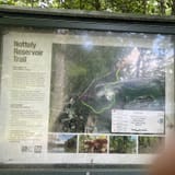 Nottely Reservoir Trail, Georgia - 1,091 Reviews, Map | AllTrails