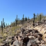 Calderwood Butte Trail, Arizona - 1,807 Reviews, Map | AllTrails