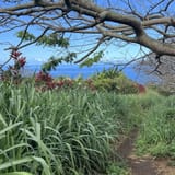 Ka'Awaloa - Captain Cook Monument Trail, Hawaii, Hawaii - 2,993 Reviews ...