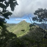 Mount Kaʻala Trail, Oahu, Hawaii - 1,716 Reviews, Map | AllTrails