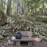Hiouchi Trail, California - 542 Reviews, Map | AllTrails