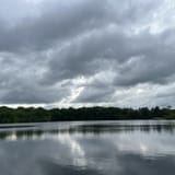 Breakheart Reservation Loop, Massachusetts - 1,037 Reviews, Map | AllTrails