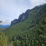 Little Si Trail, Washington - 11,326 Reviews, Map | AllTrails