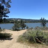 Alpine Pedal Path Trail, California - 908 Reviews, Map | AllTrails