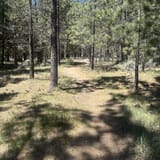 Alpine Pedal Path Trail, California - 908 Reviews, Map | AllTrails