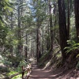 Stream, East Ridge, and Canyon Loop, California - 1,836 Reviews, Map ...