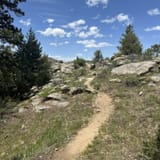 Beaver Brook Trail, Colorado - 1,493 Reviews, Map | AllTrails