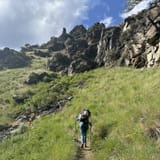 Rapid River Trail, Idaho - 260 Reviews, Map | AllTrails