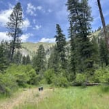 Rapid River Trail, Idaho - 260 Reviews, Map | AllTrails