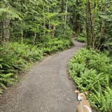 Whatcom Creek Trail Loop, Washington - 1,867 Reviews, Map | AllTrails