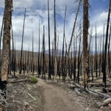 Fern Creek Trail to Little Ruby Lake, Colorado - 33 Reviews, Map ...