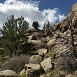 Turtle Rock Loop Trail, Wyoming - 1,233 Reviews, Map | AllTrails