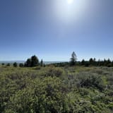 Kelly Canyon Trail, Idaho - 366 Reviews, Map | AllTrails