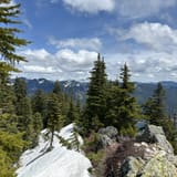 Mount Catherine (#1348), Washington - 798 Reviews, Map | AllTrails