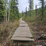 Angel Rocks Trail, Alaska - 899 Reviews, Map | AllTrails