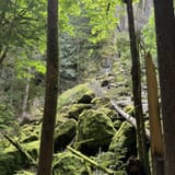 Little Si Trail, Washington - 11,326 Reviews, Map | AllTrails