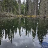 Angel Rocks Trail, Alaska - 899 Reviews, Map | AllTrails