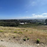 Lake Miramar Trail, California - 4,156 Reviews, Map | AllTrails