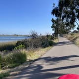 Lake Miramar Trail, California - 4,156 Reviews, Map | AllTrails