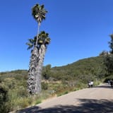 Lake Miramar Trail, California - 3,861 Reviews, Map | AllTrails