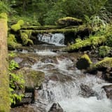 Poo Poo Point Trail, Washington - 6,502 Reviews, Map | AllTrails