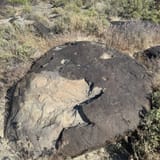 Grimes Point Petroglyphs, Nevada - 72 Reviews, Map | AllTrails