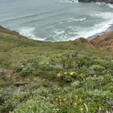 Mori Point Loop Trail, California - 5,187 Reviews, Map | AllTrails