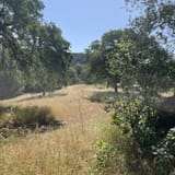 Foresthill Divide Loop, California - 1,142 Reviews, Map | AllTrails