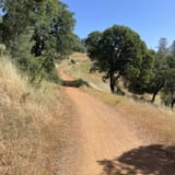 Foresthill Divide Loop, California - 1,142 Reviews, Map | AllTrails