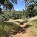 Foresthill Divide Loop, California - 1,142 Reviews, Map | AllTrails