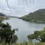 Lake Chabot Loop via West, Bass, Columbine, Honker, East Shore Trails ...