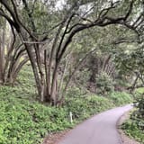 Lake Chabot Loop via West, Bass, Columbine, Honker, East Shore Trails ...
