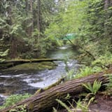 Whatcom Creek Trail Loop, Washington - 1,867 Reviews, Map | AllTrails
