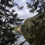 Lake Isabel Trail #1080, Washington - 424 Reviews, Map | AllTrails