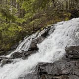 Lake Isabel Trail #1080, Washington - 424 Reviews, Map | AllTrails