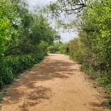 Oso Bay Wetlands Preserve, Texas - 384 Reviews, Map | AllTrails