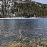 Camas Lake Trail, Montana - 286 Reviews, Map | AllTrails