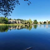 Cameron Park Lake Loop, California - 101 Reviews, Map | AllTrails