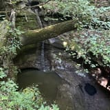 Turkey Run Outer Loop, Indiana - 634 Reviews, Map | AllTrails