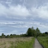 North Creek Trail, Washington - 557 Reviews, Map | AllTrails