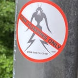 North Creek Trail, Washington - 557 Reviews, Map | AllTrails